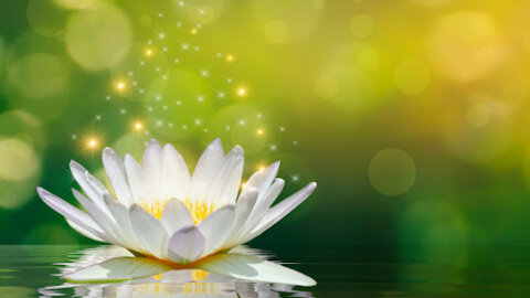 What is the Point of Meditation? | Bodhi Meditation For Health For Life ...